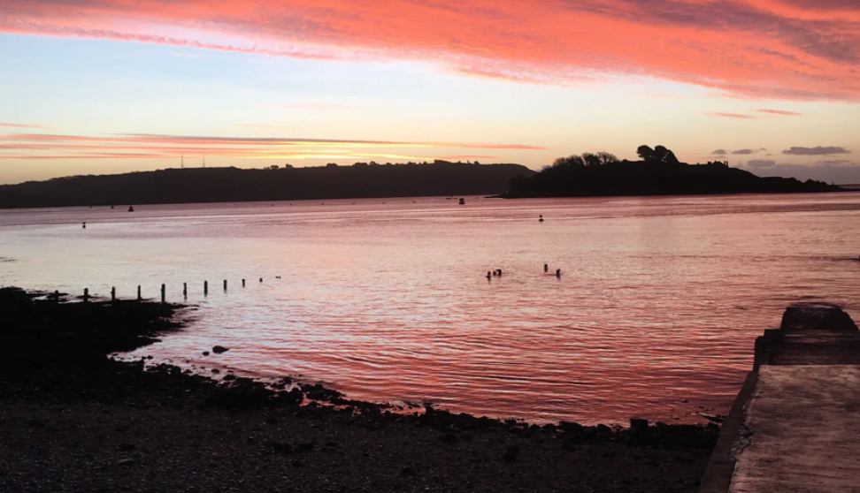 Have a go at glow in the dark rock pooling - Visit Plymouth