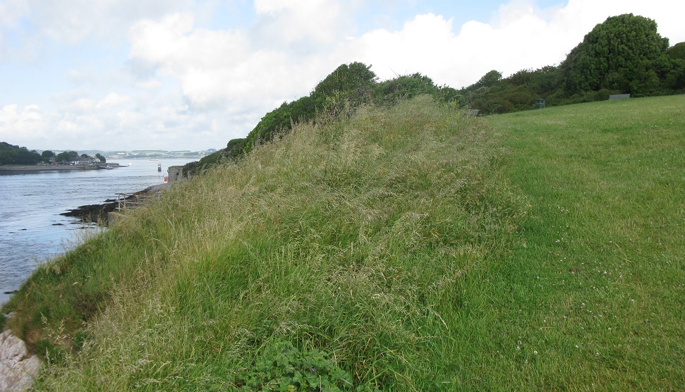 Top 10 open spaces to enjoy exercise in Plymouth - Visit Plymouth