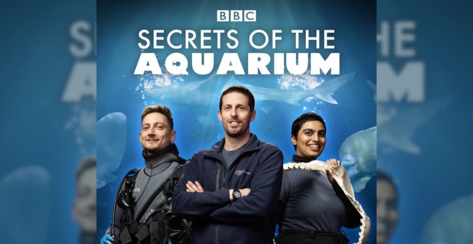 Discover the 'Secrets of the Aquarium' in new BBC series - Visit Plymouth