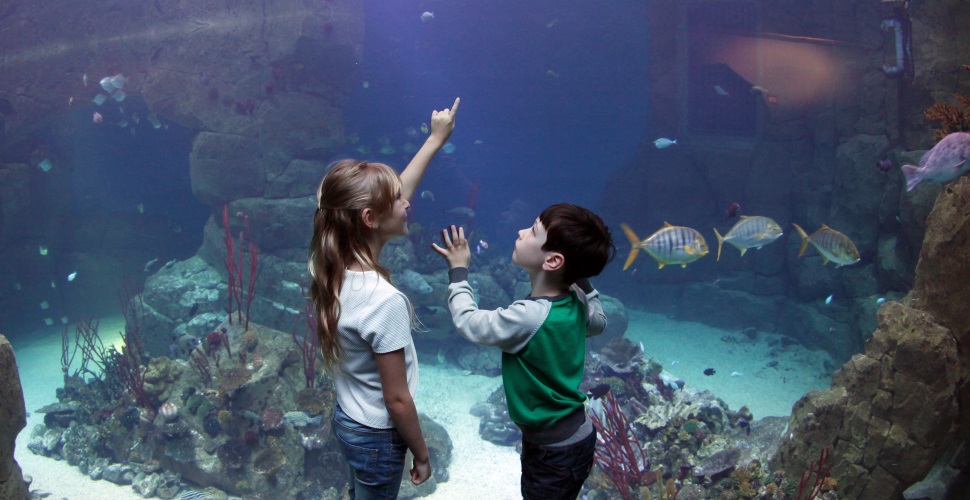 Plymouth's Top 10 Tourist Attractions - Visit Plymouth