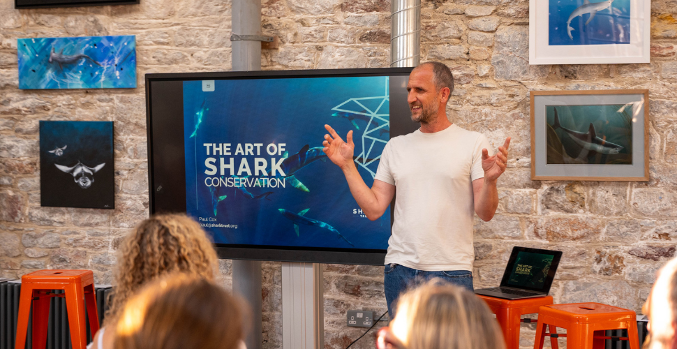 Sharks return to Royal William Yard in July - Visit Plymouth