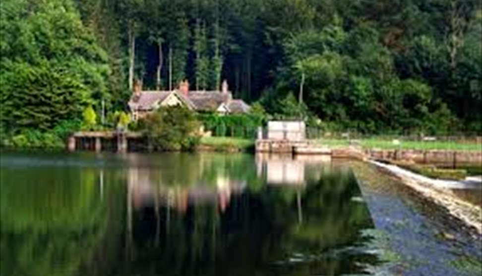 Lopwell Dam - Visit Plymouth