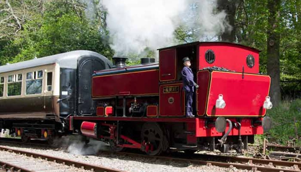 Plym Valley Railway - Steam Railway in Plymouth, Plymouth - Visit Plymouth